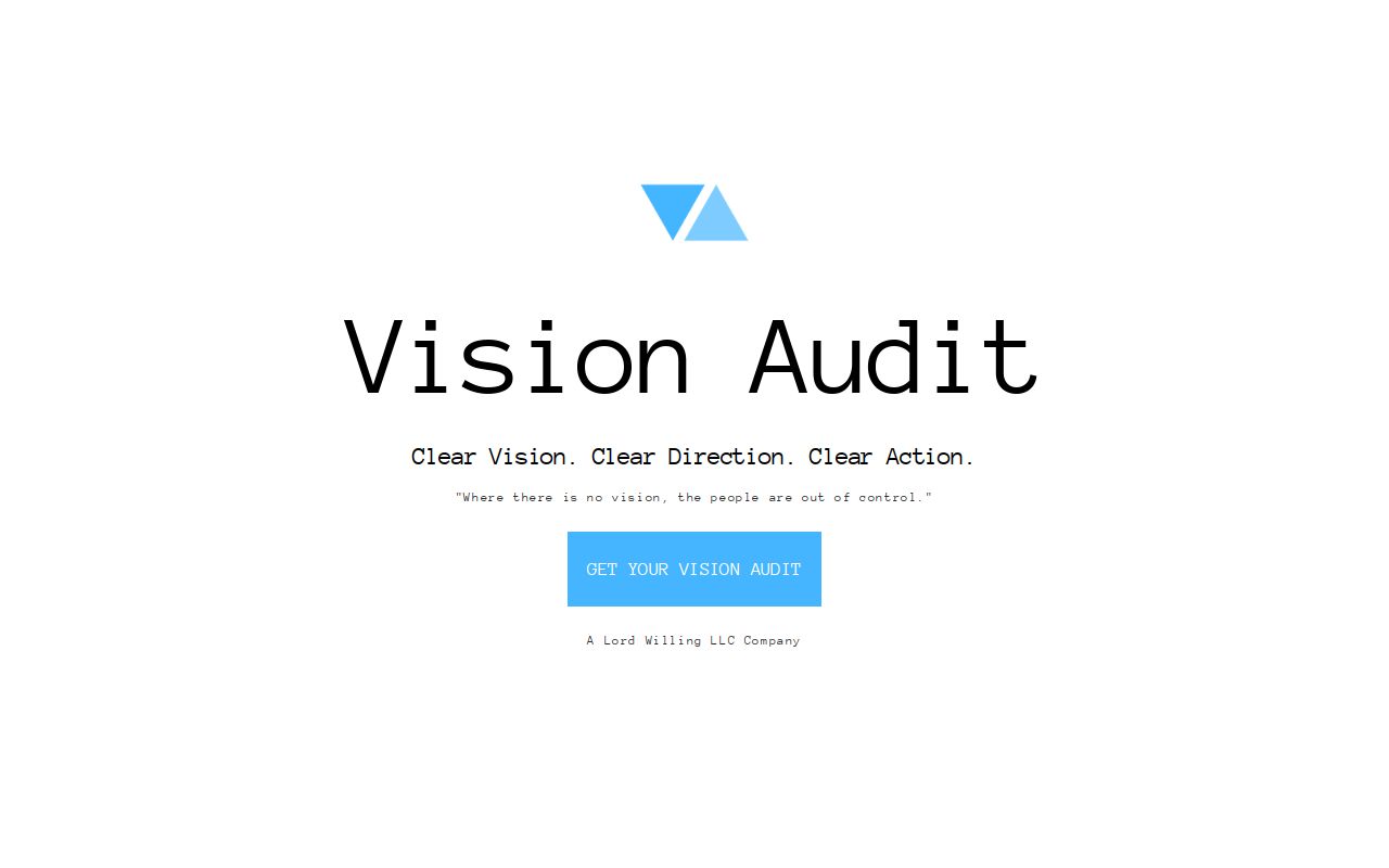 Vision Audit